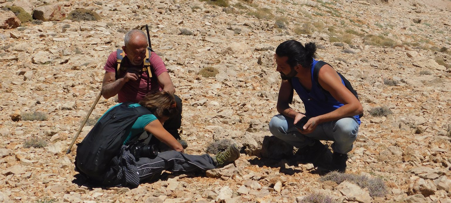 FieldWork - Friends of Nature